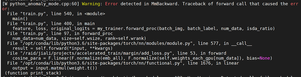 MmBackward Returned Nan Values In Its 0th Output Vision PyTorch