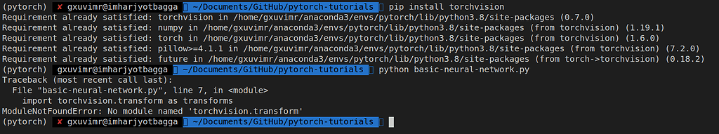 ModuleNotFoundError No Module Named Torchvision Transform Despite