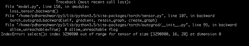 IndexError: select(): index #num out of range for tensor of size #num at dimension 0 in backward ...