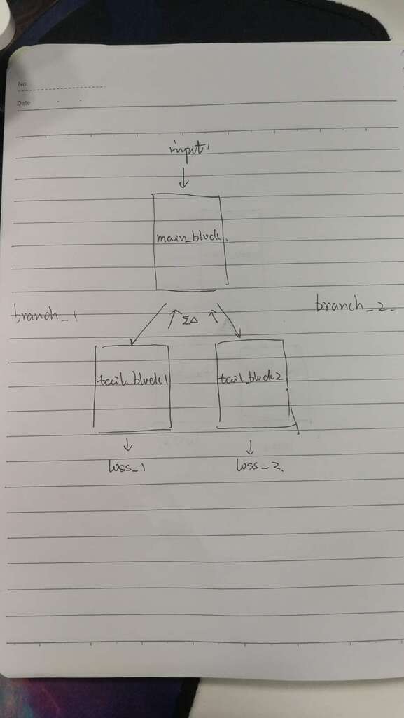 How can I use different losses to update different branches respectively, and sum grad together ...
