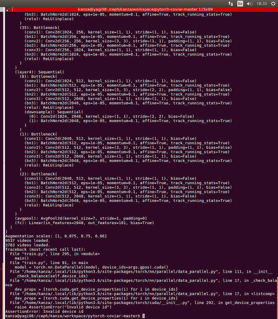 Training a Video model - vision - PyTorch Forums