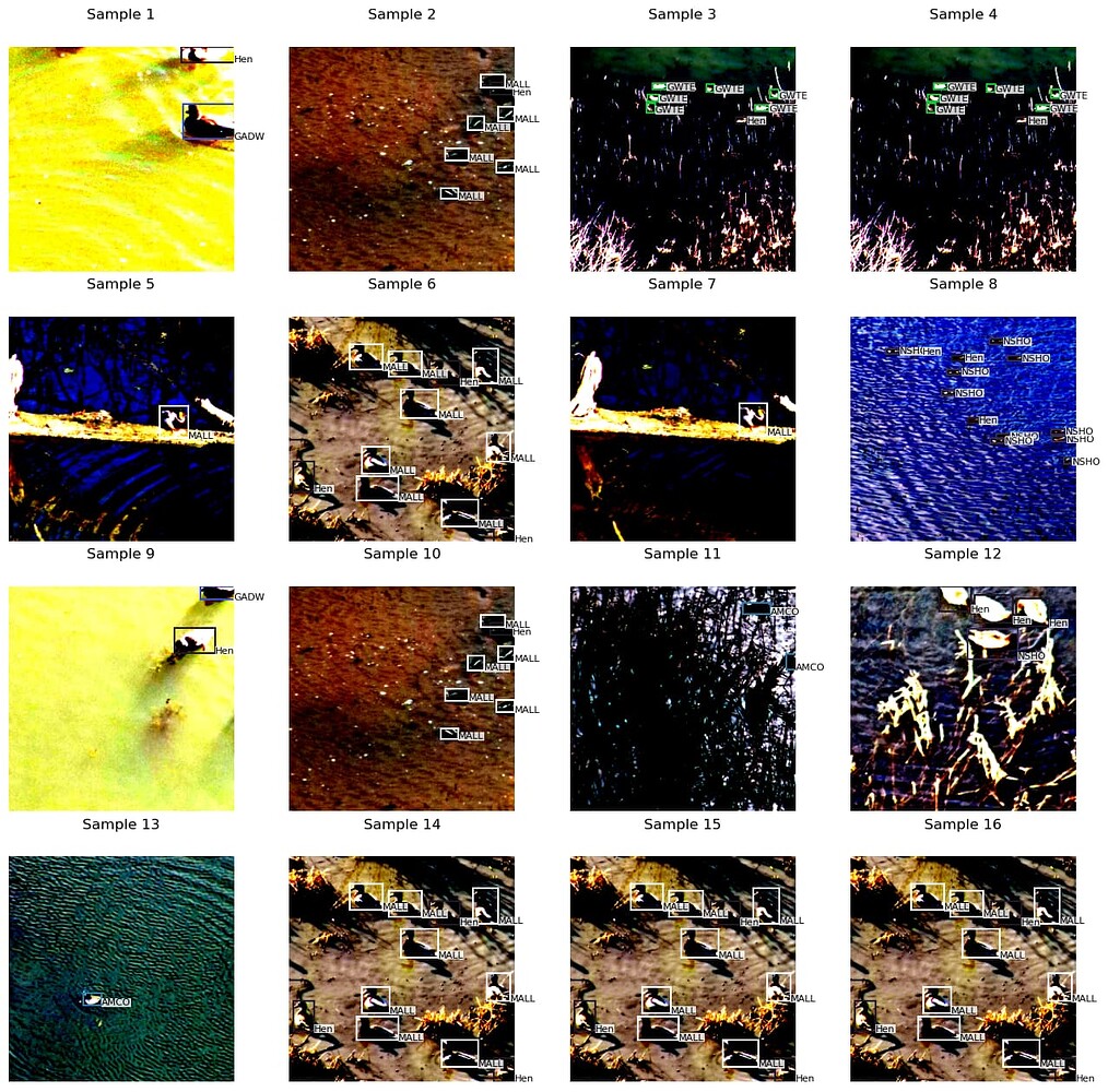 Why are duplicate samples showing up in batches - custom PyTorch dataset for detection - data ...