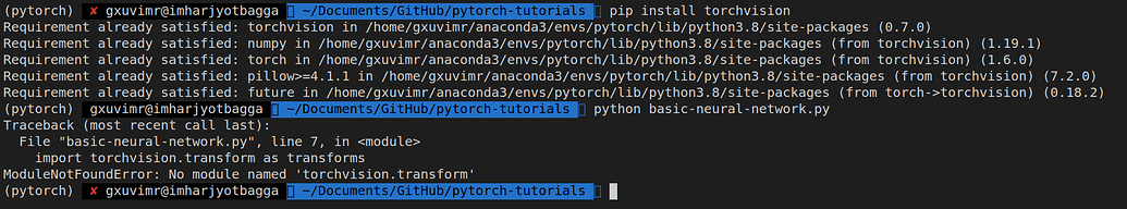 Modulenotfounderror No Module Named Torchvision Transform Despite