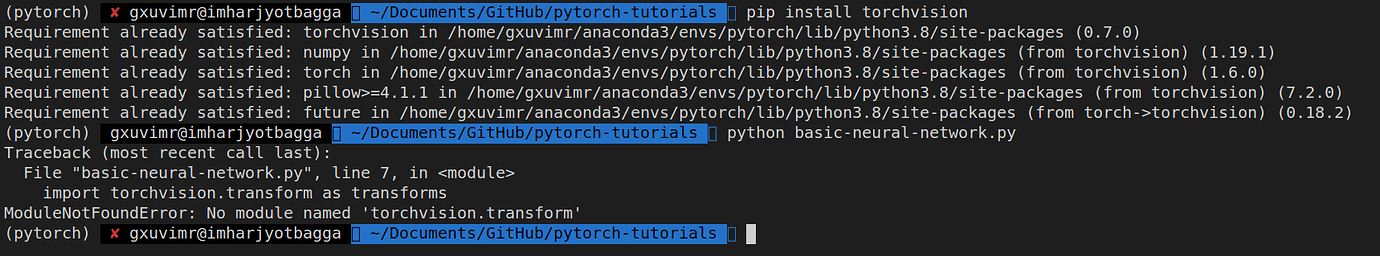 ModuleNotFoundError: No module named 'torchvision.transform' despite being installed - vision ...