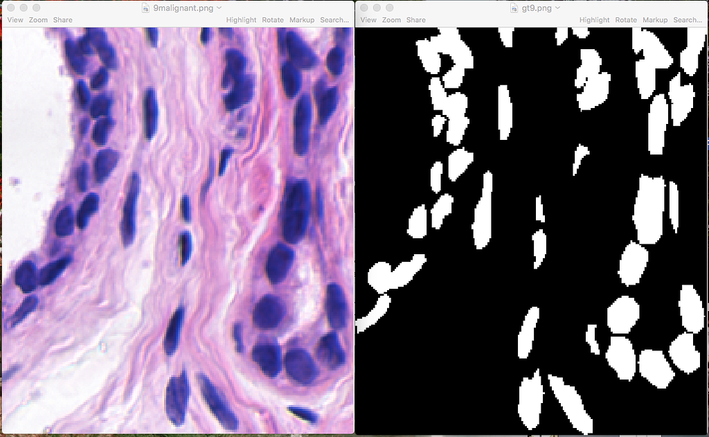 Using Histopathological Image Dataset with Ground Truth - vision - PyTorch Forums