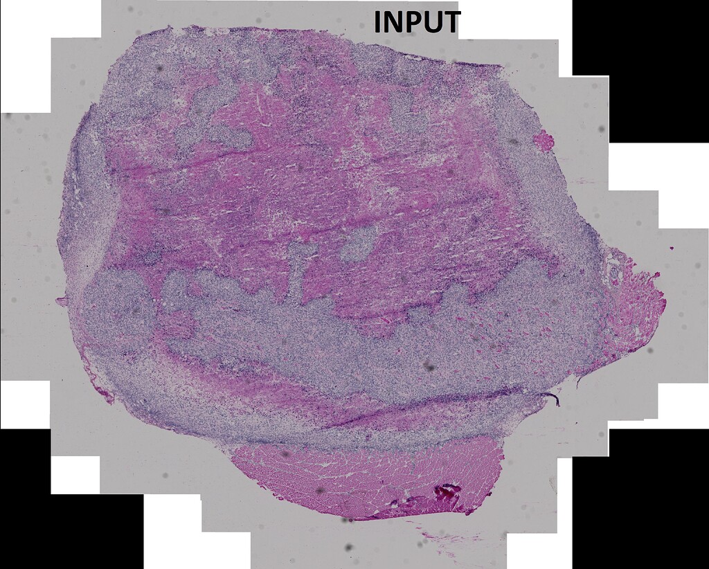 Nonsensical Unet output with model.eval() - vision - PyTorch Forums