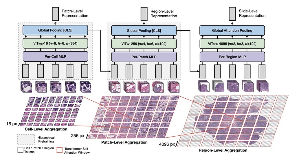 Handle different feature input dimensions in the data loader - PyTorch Forums