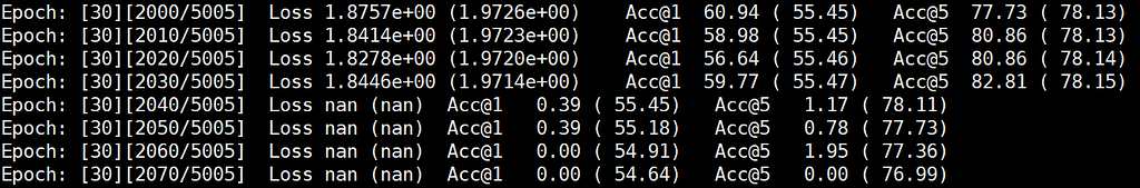 Loss Nan When Resuming From A Pretrained Model Vision Pytorch Forums 9395