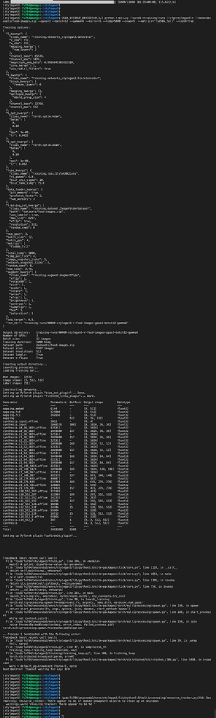 Problem With Pytorch In Training Stylegan3 Process Timeout Pytorch Forums
