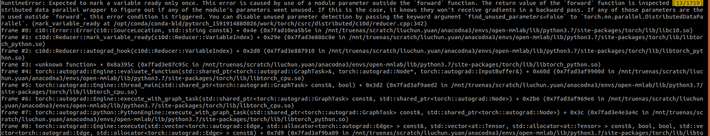 How to use `torch.nn.parallel.DistributedDataParallel` and `torch.utils.checkpoint` together ...