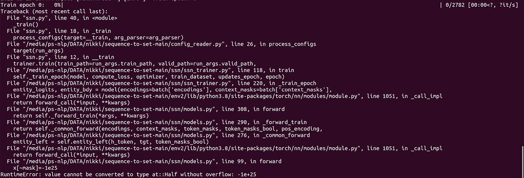 Using Autocast, returns cannot be converted to type at::Half without overflow: -1e+25 - mixed ...