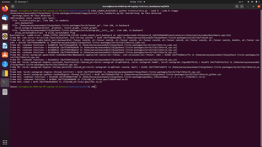 Runtimeerror cudnn_status_execution_failed( cudnn_batch_norm_backward allow unreachable flaf ...