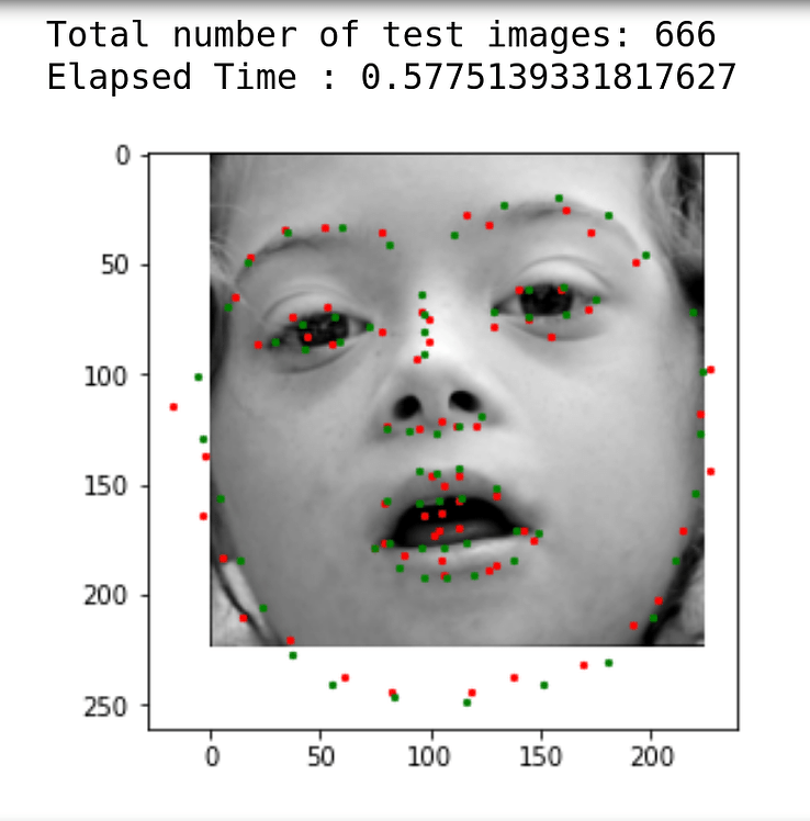 Weird evaluation results for facial landmark prediction using ResNet18 ...