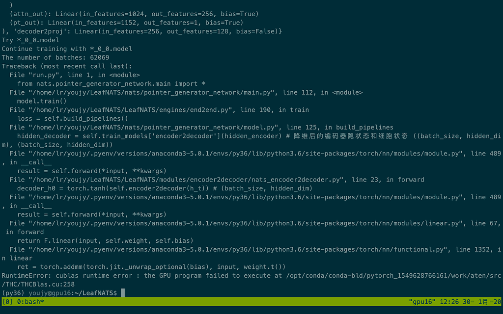 RuntimeError: cublas runtime error : the GPU program failed to execute at /opt/conda/conda-bld ...