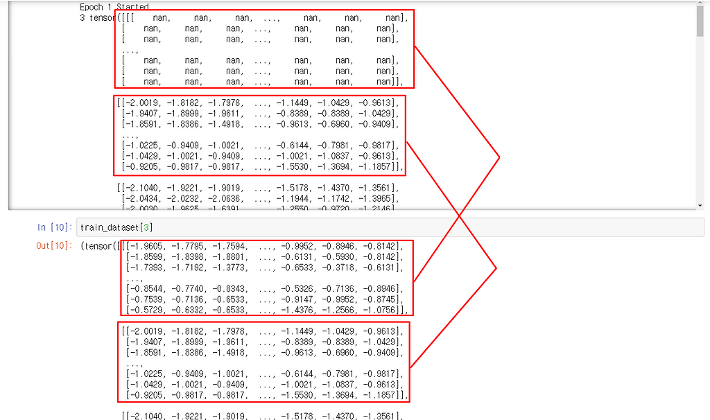 Dataset input Nan but fine on index - vision - PyTorch Forums