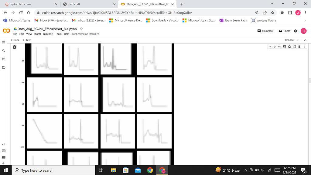 Data Augmentation on 1D Signal image - vision - PyTorch Forums