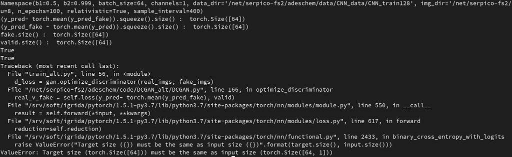 Strange Shape Mismatch Issue With Torch Bcewithlogitsloss Vision