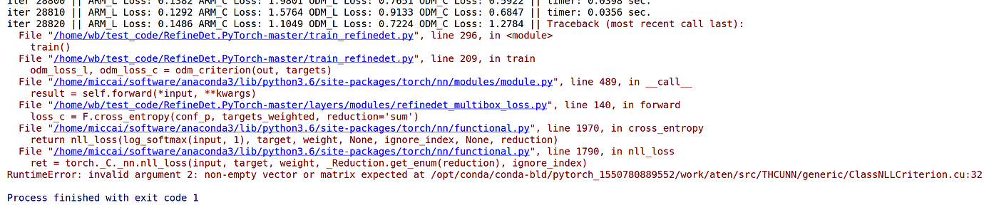 RuntimeError: invalid argument 2: non-empty vector or matrix expected ... RuntimeError: invalid argument 2: non-empty vector or matrix expected ...