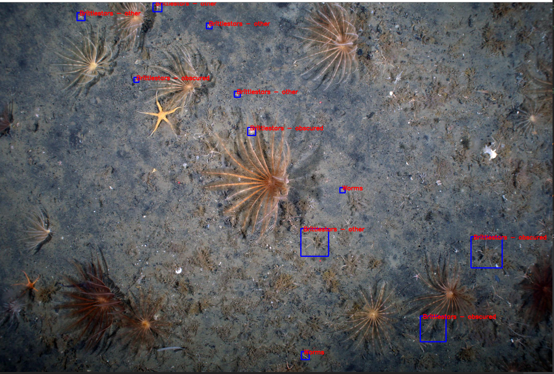 Object detection for extremely small object - vision - PyTorch Forums